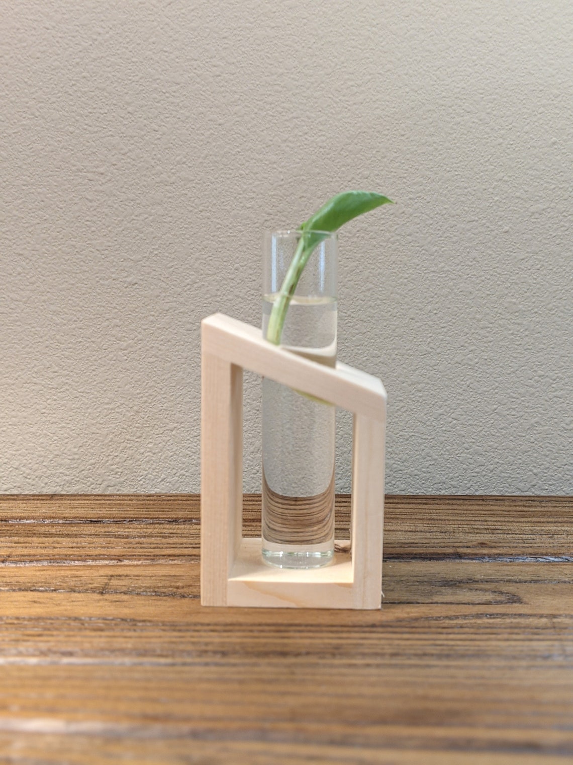 Trapezoid Shaped Tube Plant Stand Propagation Station Glass - Etsy