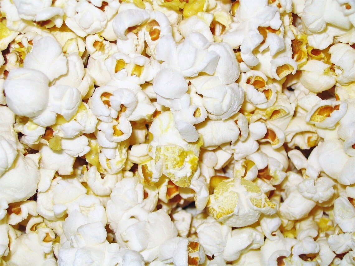 Organic Movie Style Gourmet Popcorn - UNSALTED - Etsy