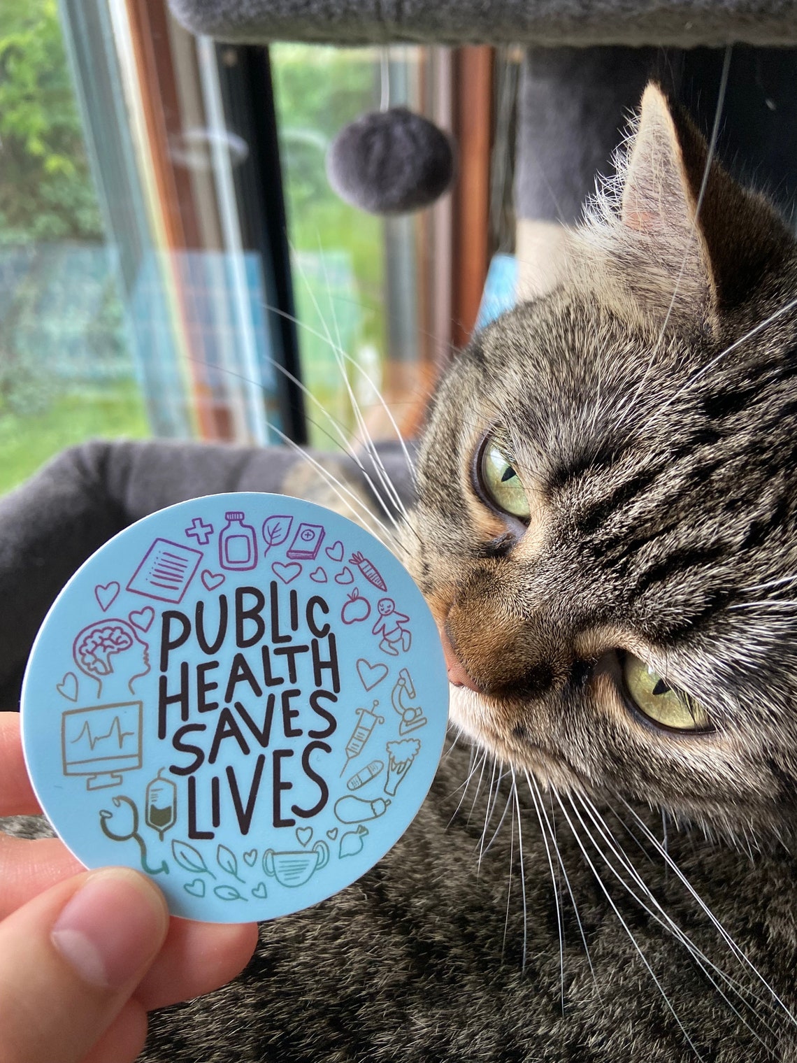 Public Health Saves Lives Sticker - Etsy