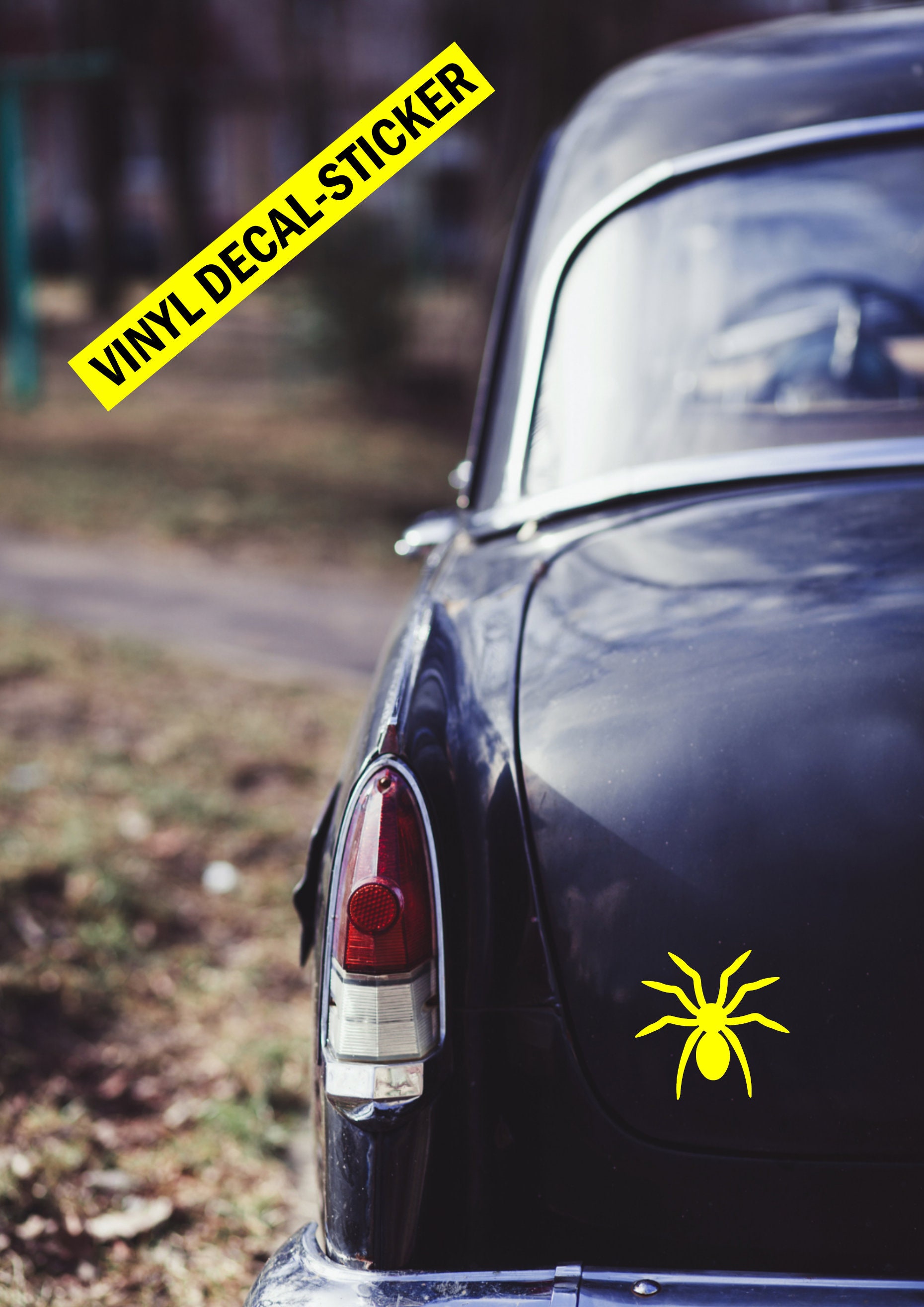 Spider Vinyl Decal Sticker Animal Life - Etsy