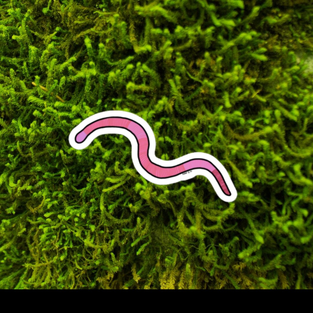 Giant Palouse Earthworm Sticker - Etsy