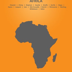 AFRICA Set of Animal Discs/creature Power Discs - Etsy