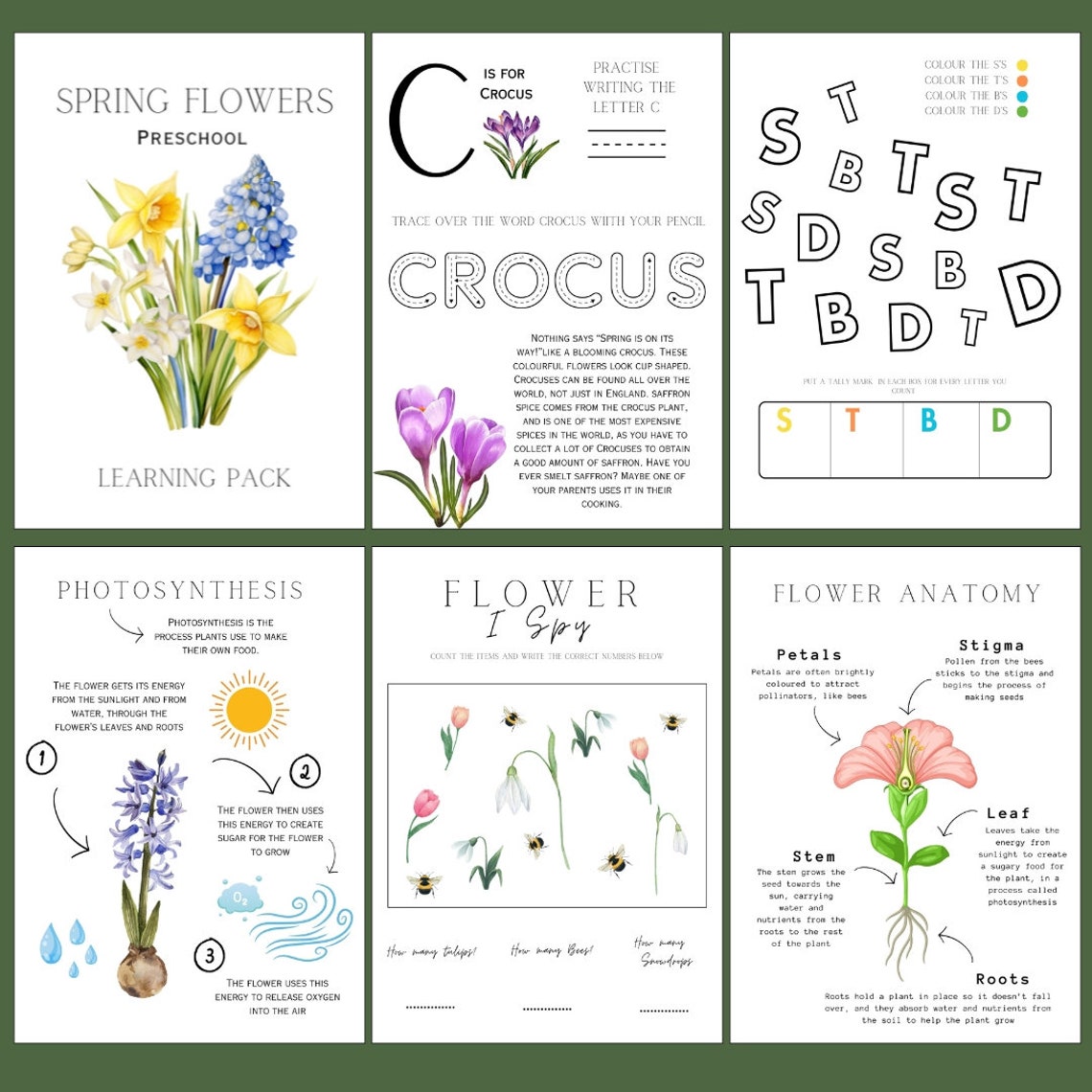 SPRING FLOWERS Themed Preschool/early Years Learning Pack | Charlotte ...
