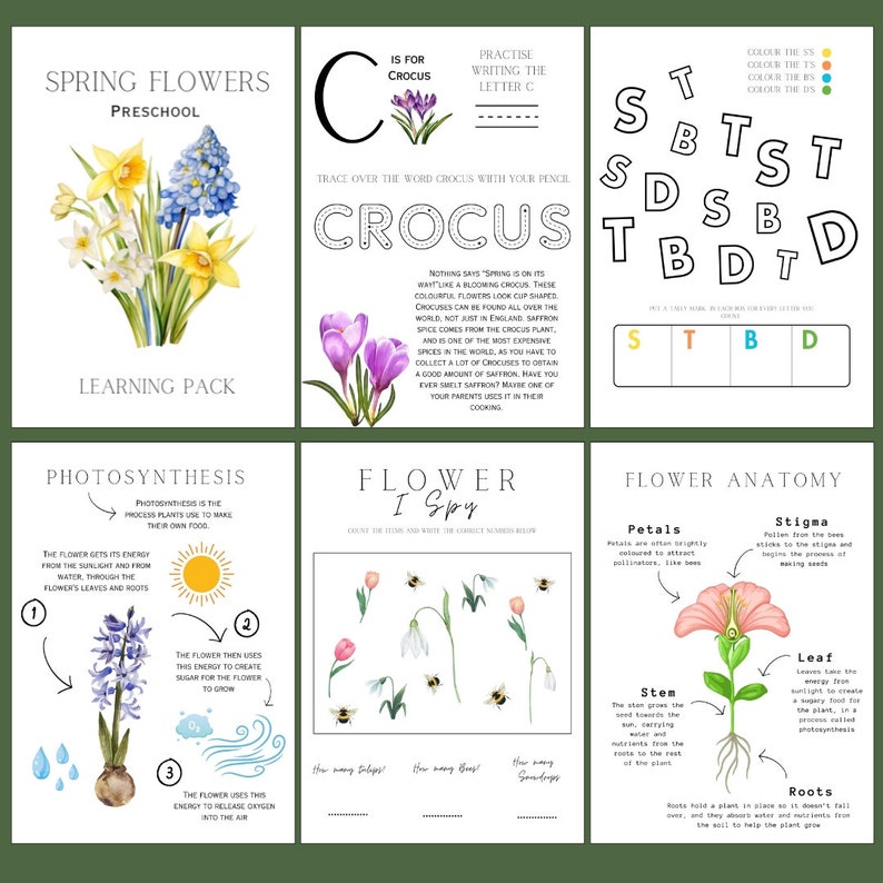 SPRING FLOWERS Themed Preschool/early Years Learning Pack | Charlotte ...