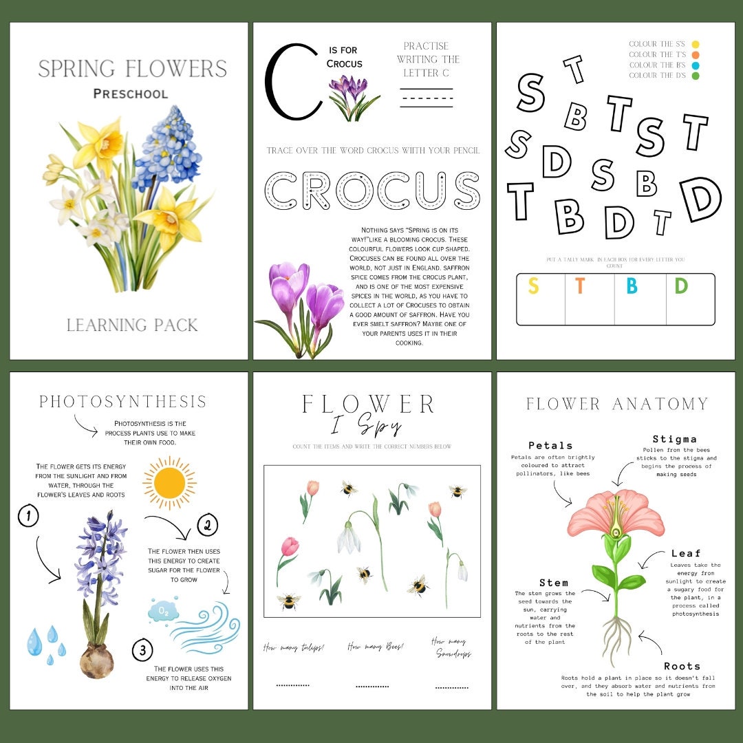 SPRING FLOWERS Themed Preschool/early Years Learning Pack | Charlotte ...