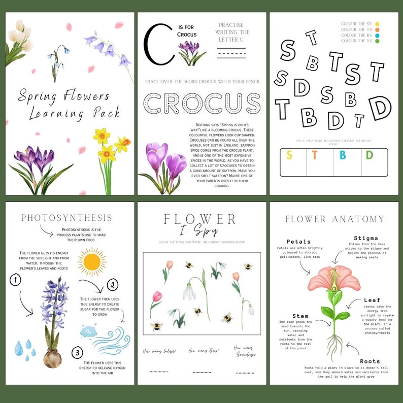 SPRING FLOWERS Themed Preschool/early Years Learning Pack Charlotte ...