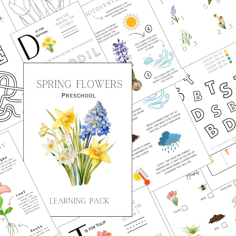 SPRING FLOWERS Themed Preschool/early Years Learning Pack | Charlotte ...