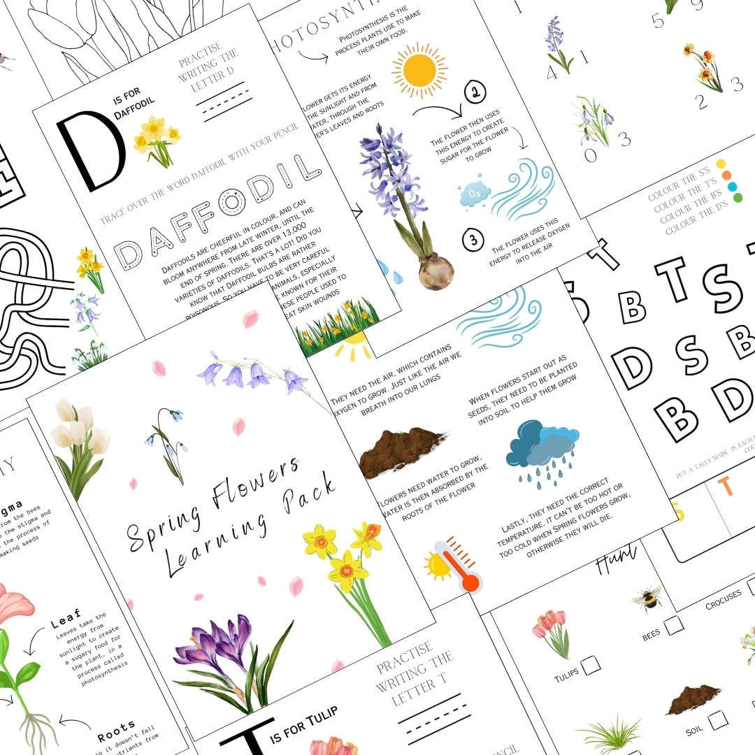 SPRING FLOWERS Themed Preschool/early Years Learning Pack Charlotte ...