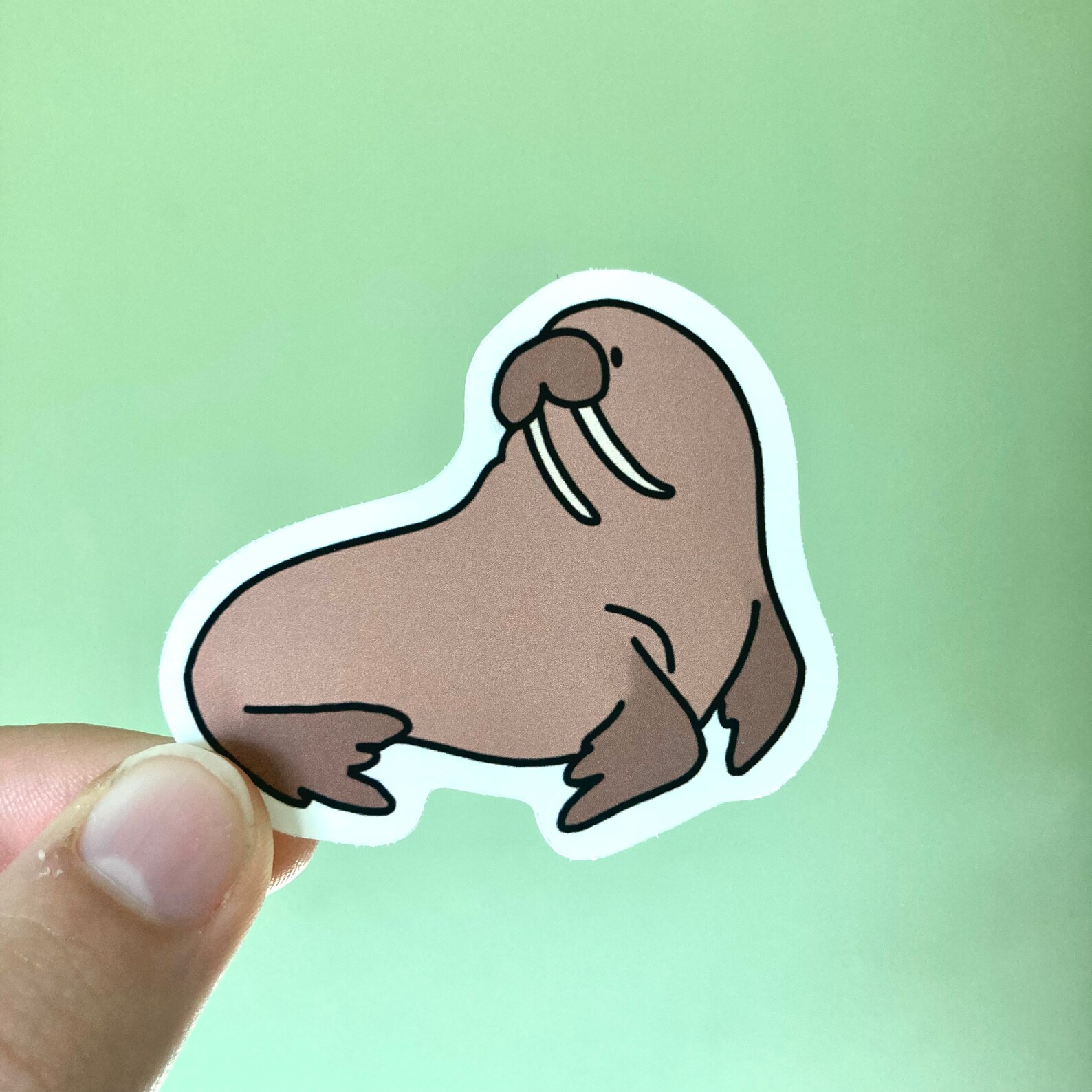 Adorable Walrus Kawaii Matte Sticker - Etsy
