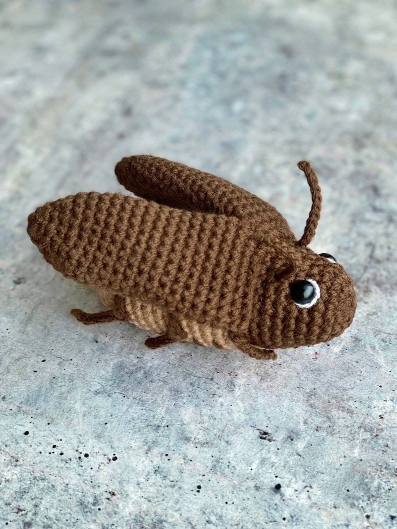 Crunch the Cockroach Crochet Pattern, Amigurumi Pattern - Etsy Australia