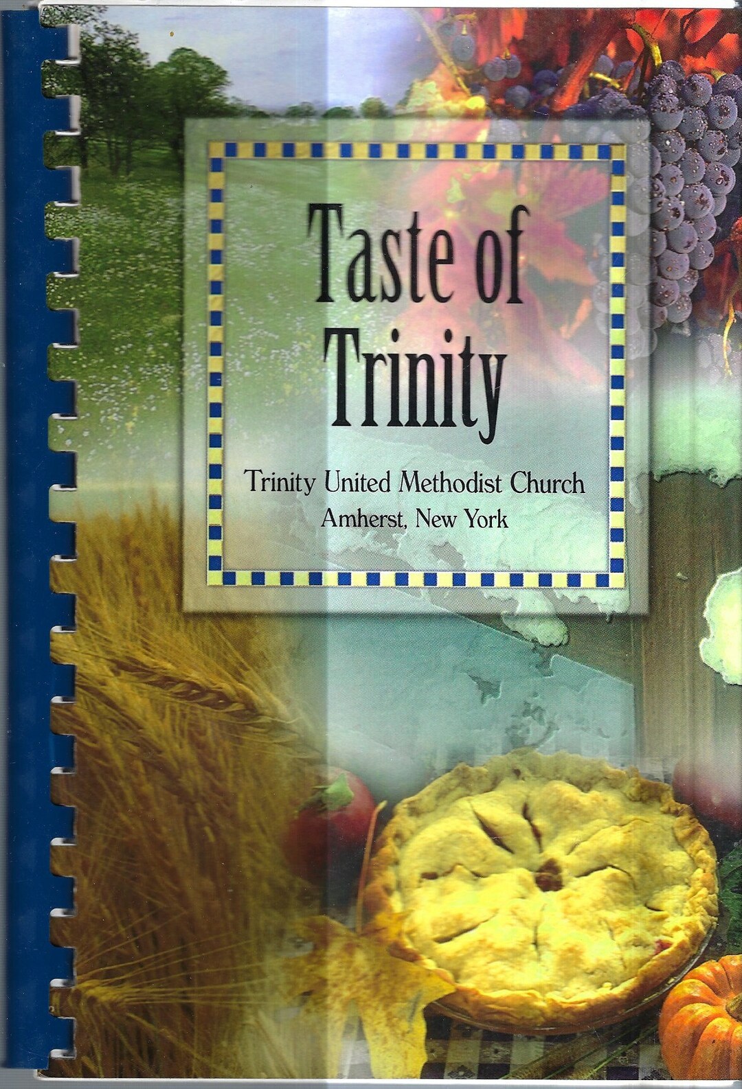 Amherst New York Vintage Taste of Trinity United Methodist Church ...
