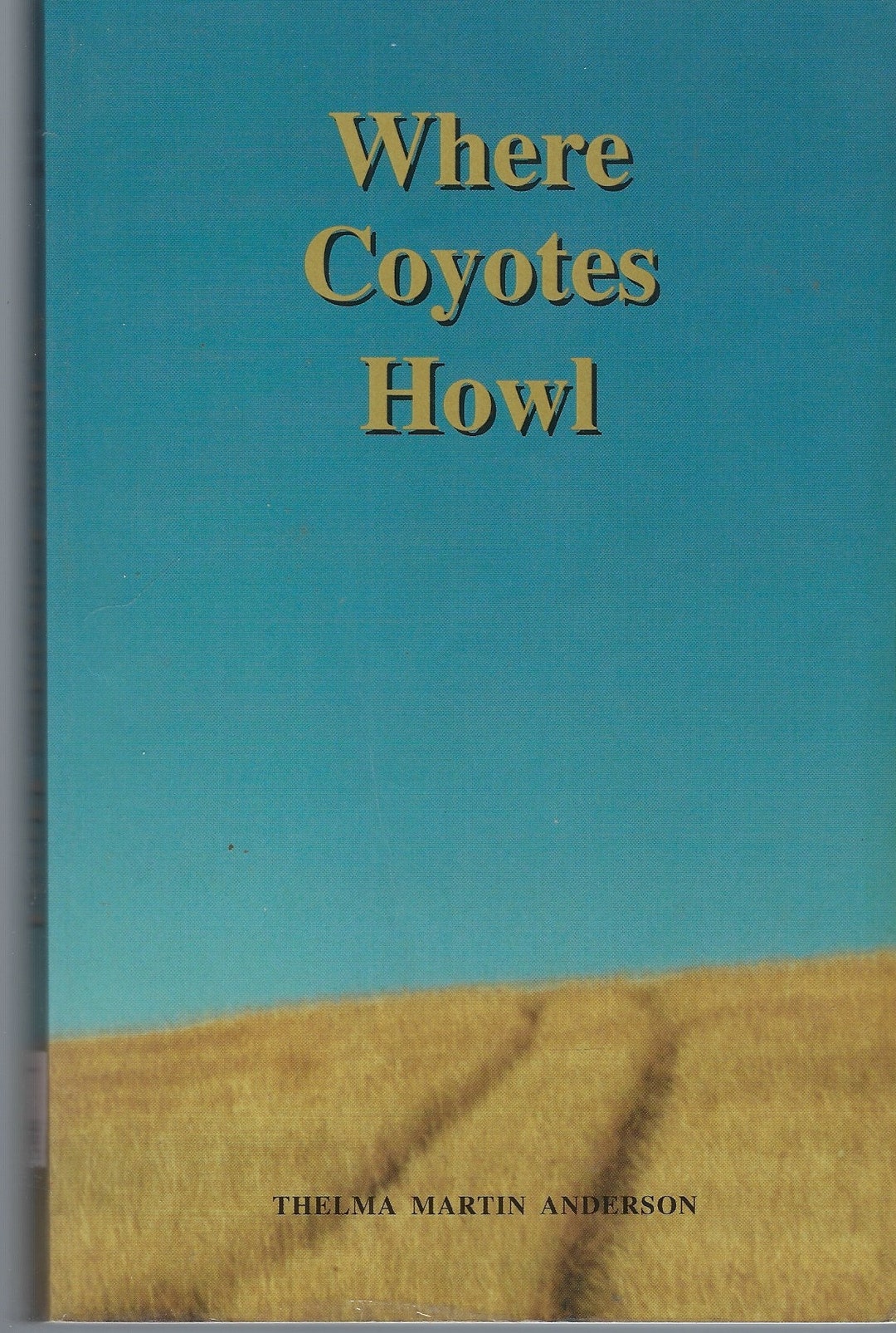 Midland South Dakota 1996 Historischer Roman der norwegischen ...