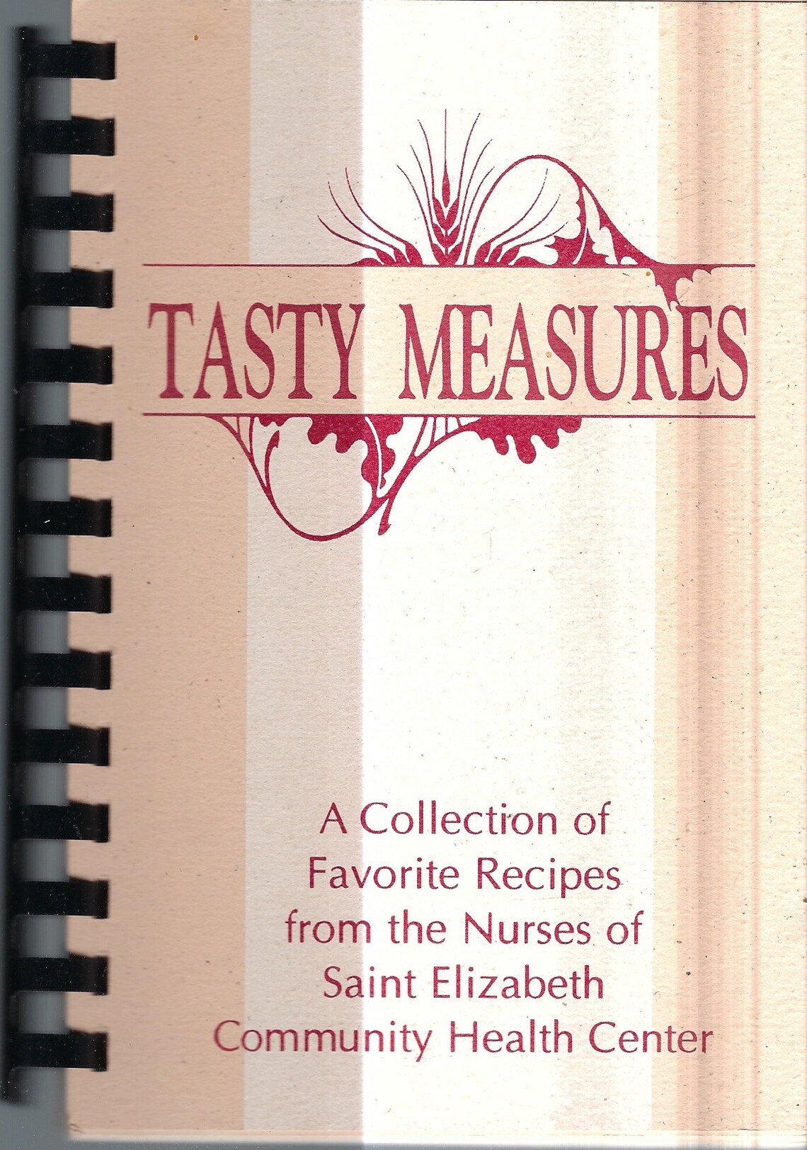 Lincoln Nebraska Vintage St Elizabeth Health Care Center Nurses Tasty ...