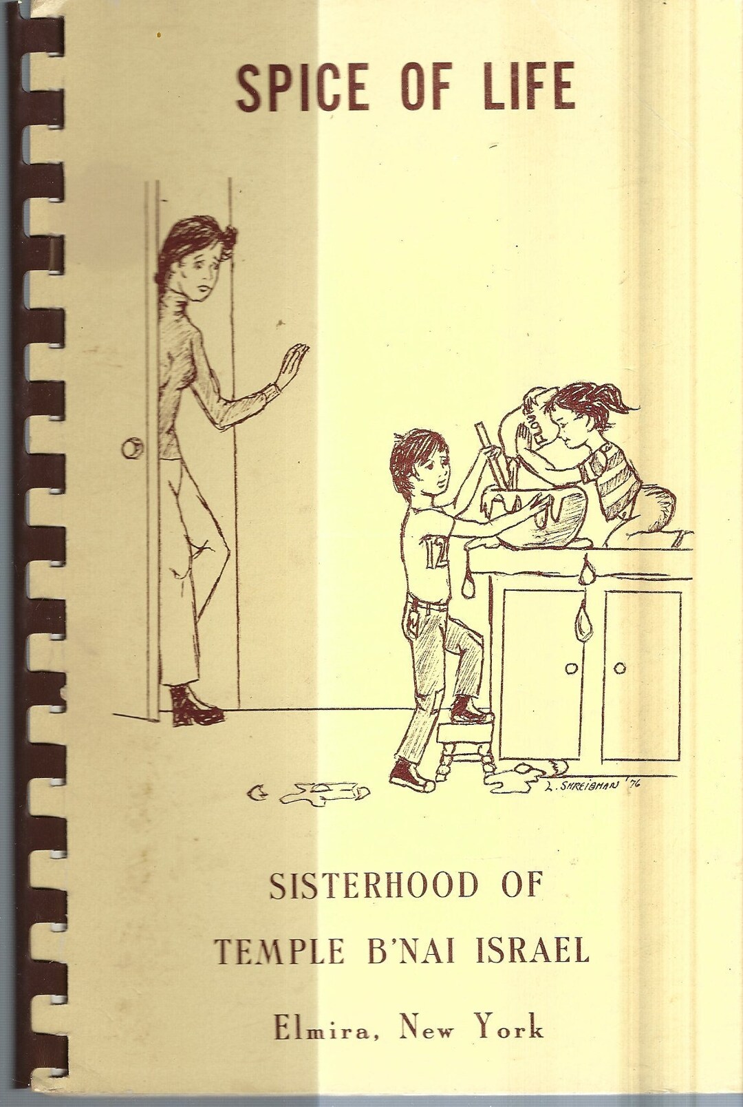Elmira New York Vintage 1976 Temple B'nai Israel Sisterhood Spice of ...