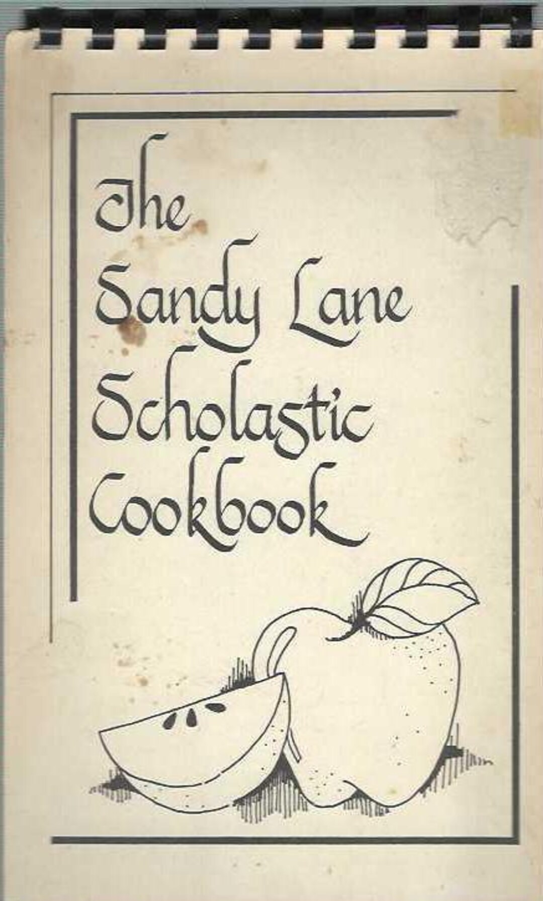 Clearwater Florida Vintage Sandy Lane Elementary School Scholastic ...