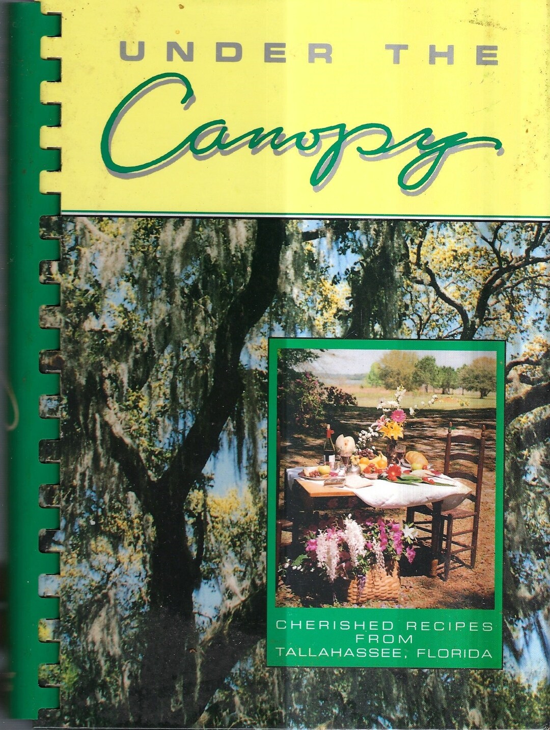 Tallahassee Florida Vintage 1995 Junior Woman's Club Under the Canopy ...