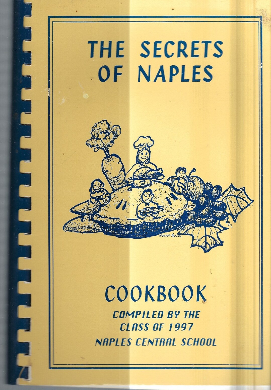 The Secrets of Naples New York Vintage 1997 Central School Cookbook NY ...