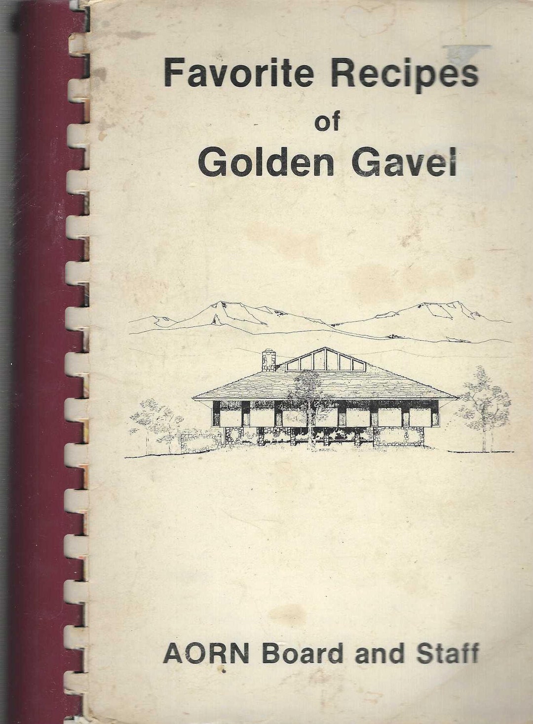 Denver Colorado Vintage 1983 AORN Nurses Favorite Recipes of Golden ...