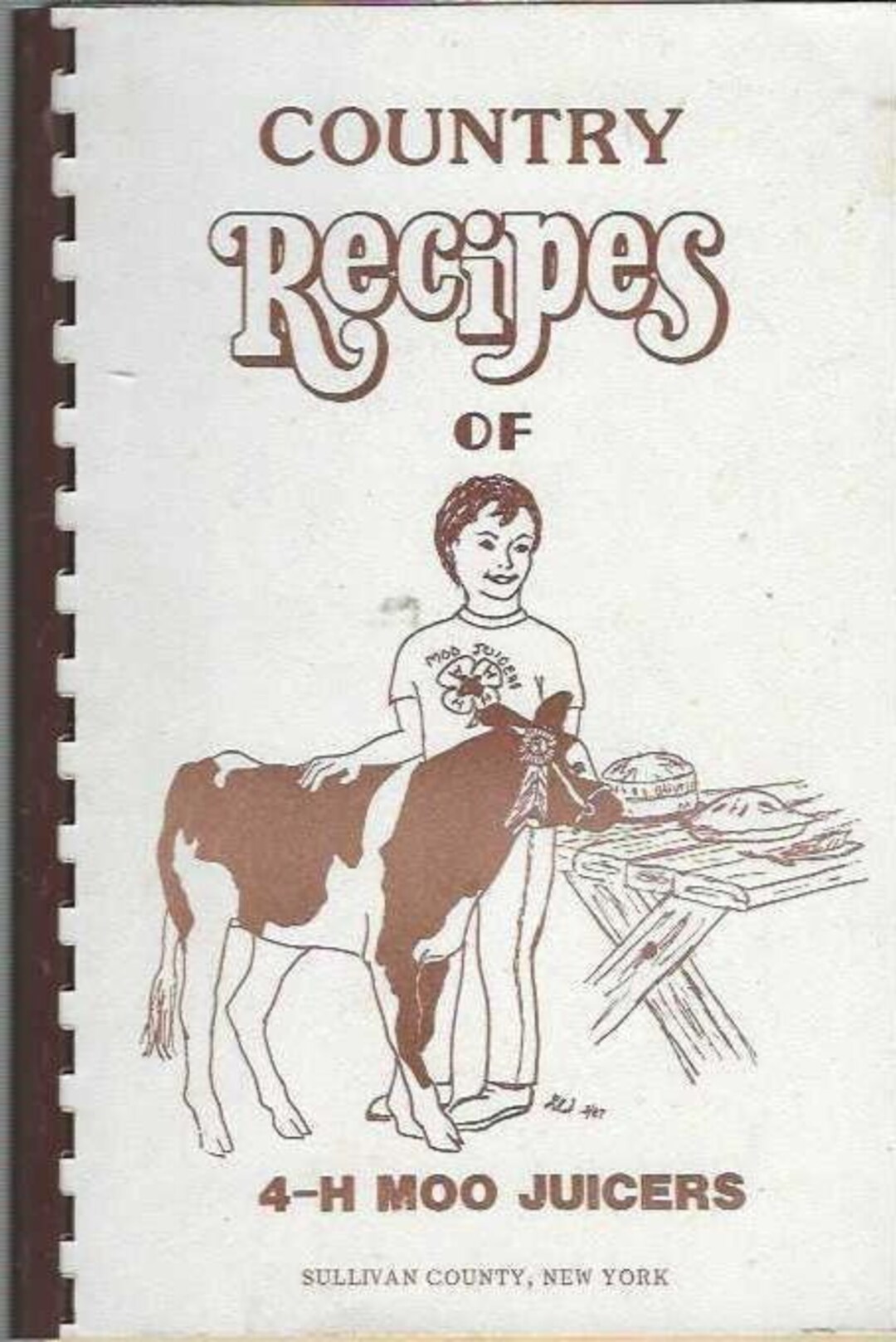 Callicoon New York Vintage 1970s Sullivan County 4-H Club Country ...