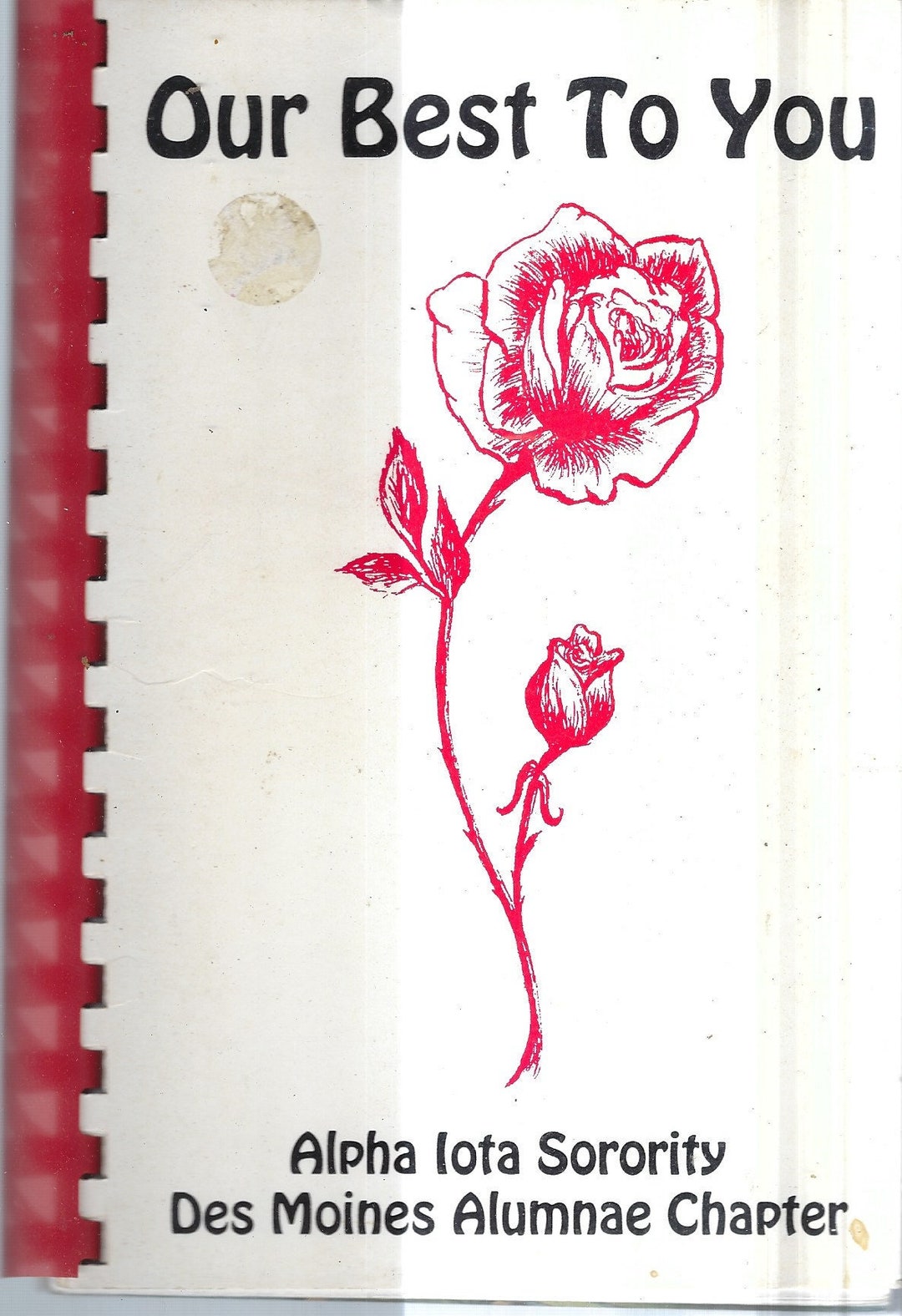 Des Moines Iowa Vintage 1995 Alpha Iota Sorority Our Best to You ...