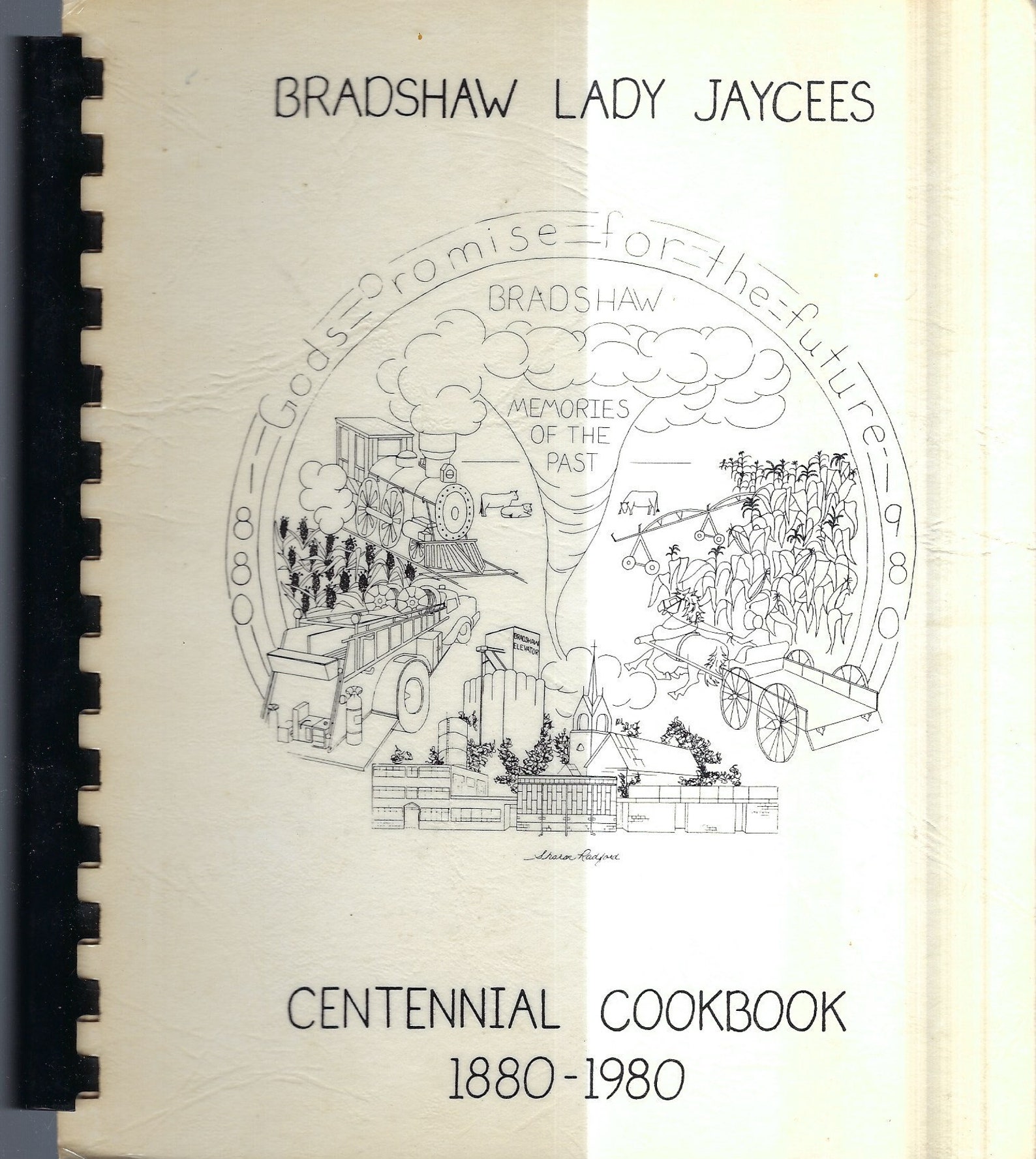 Bradshaw Nebraska Vintage 1980 Lady Jaycees Centennial Cookbook NE ...