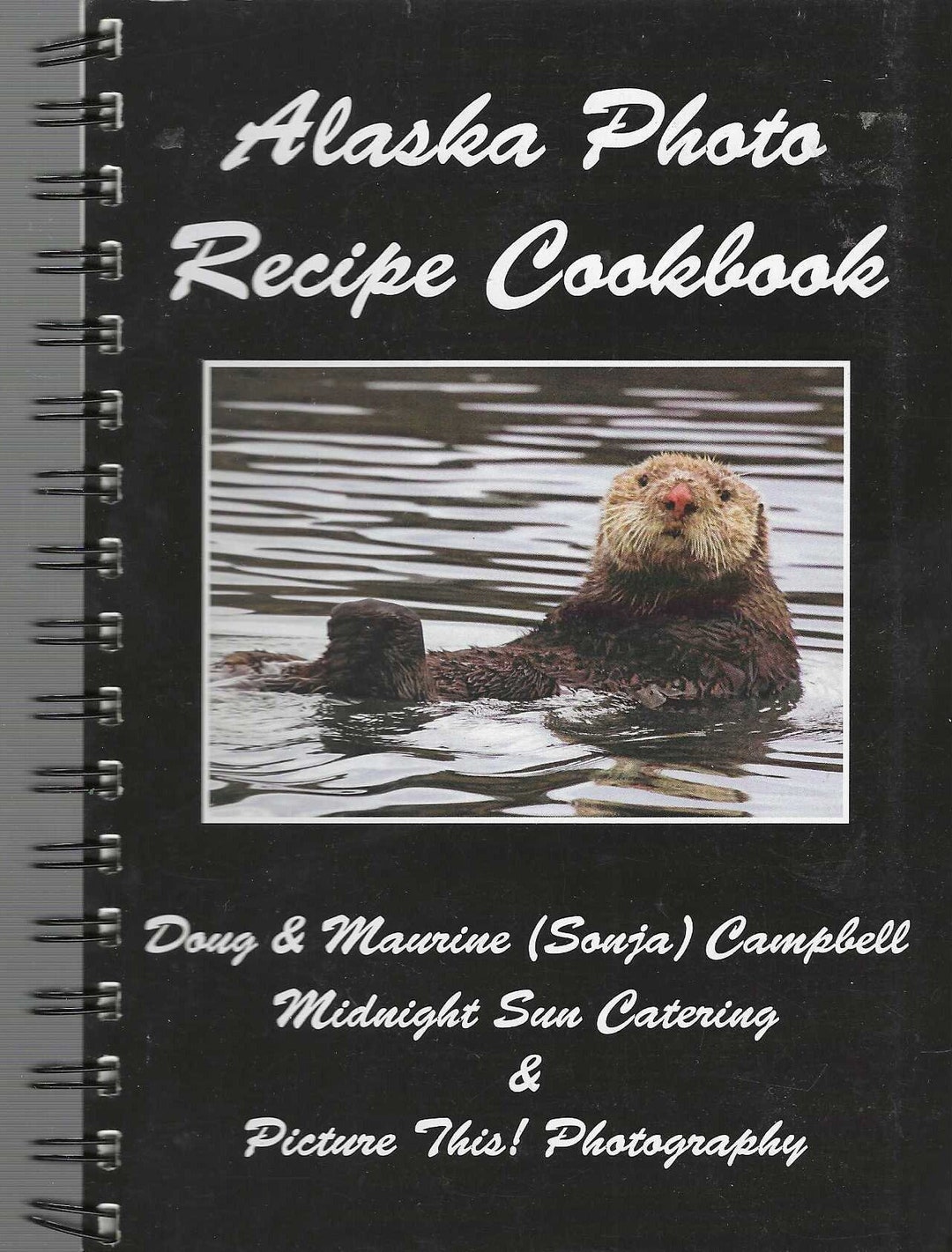 Fairbanks Alaska Vintage Picture This Photo Recipe Cookbook AK ...