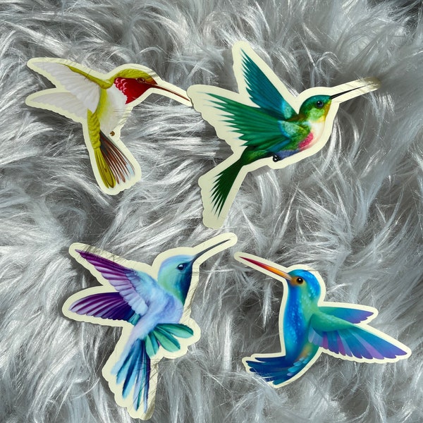 Hummingbird Sticker - Etsy
