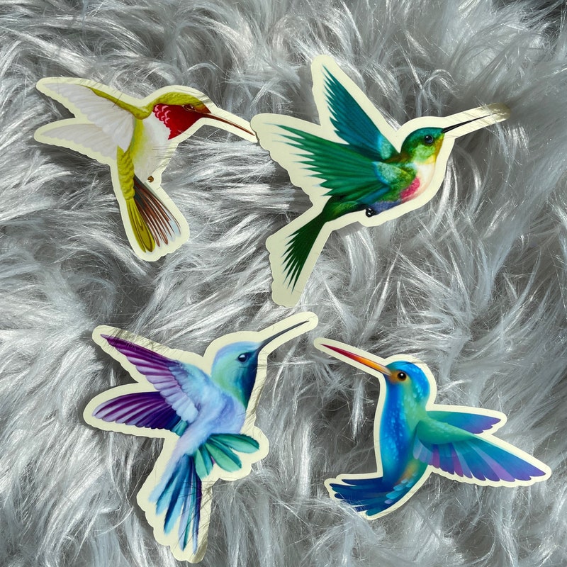 Hummingbird Sticker - Etsy