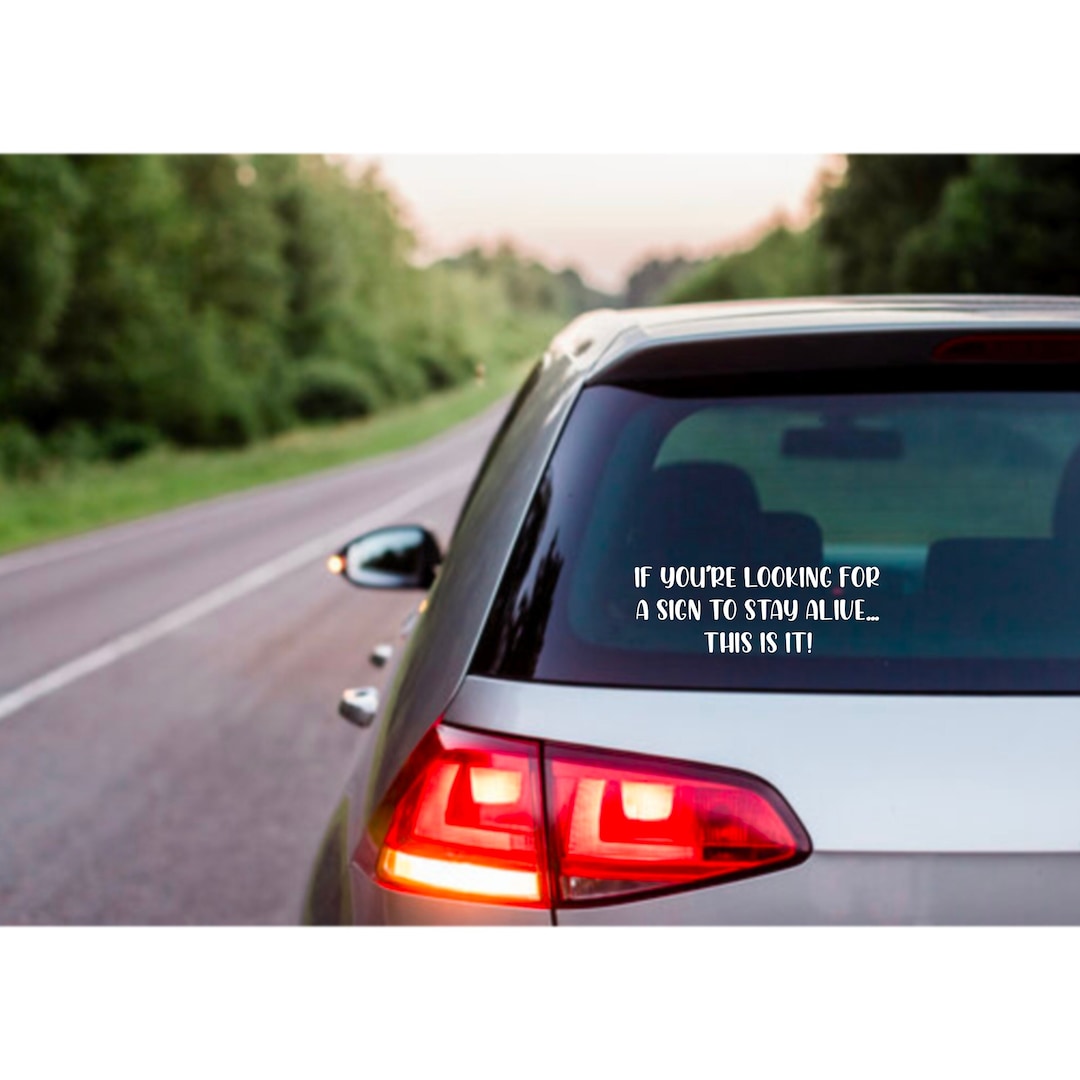 Car Decal | Window Sticker | Vinyl Decal | Car Window Decal | Laptop ...
