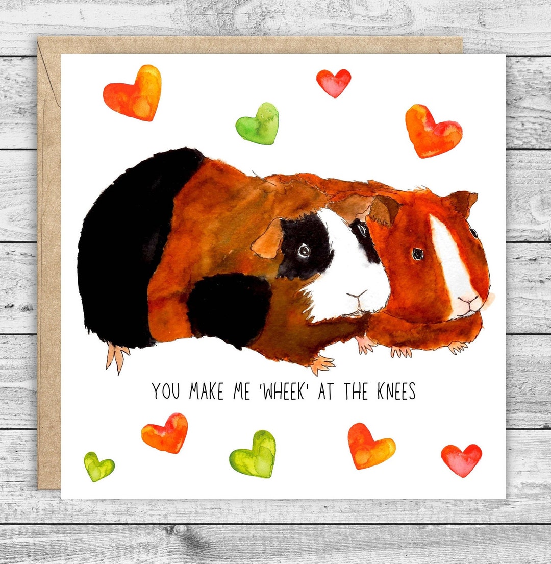 Guinea Pig Valentines Card. Pet Valentines Card. Funny Valentines Card ...
