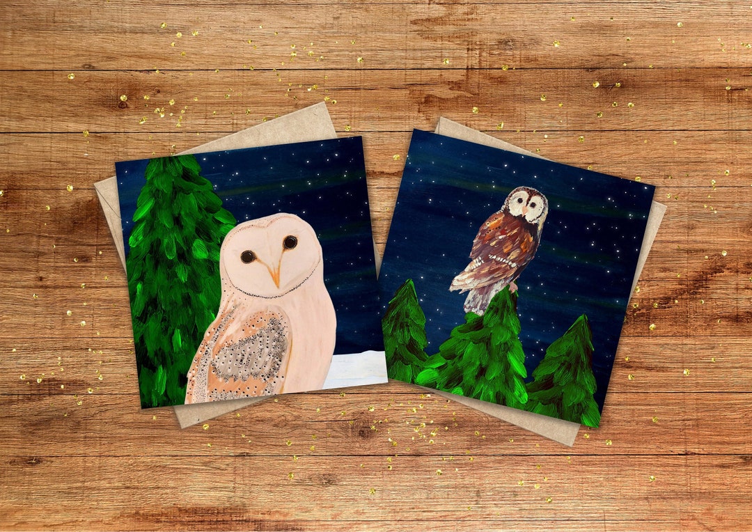 Christmas Card Set of Six. Owl Christmas Card Set Featuring a Barn Owl ...