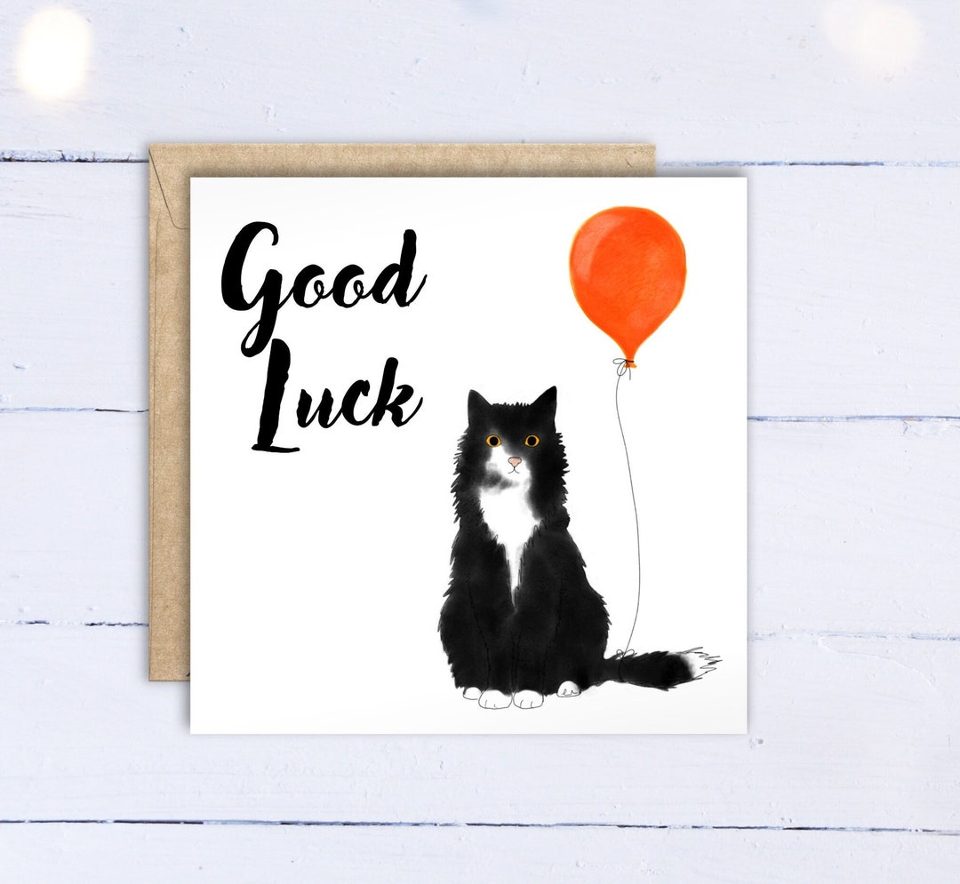 Good Luck Card Featuring a Black and White Cat With an Orange Balloon ...