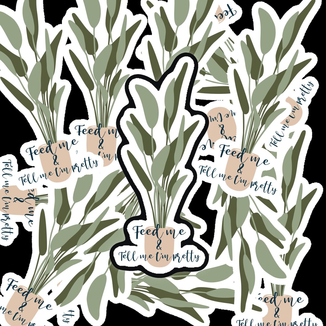 3 Boho Potted Plant 'feed Me and Tell Me I'm Pretty' Waterproof Decal ...