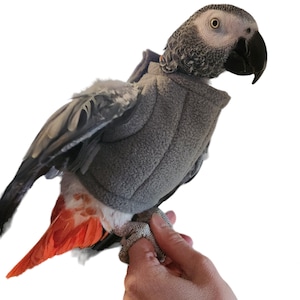 Vest E-collar Jacket for African Grey Parrots That Pluck & Pick ...
