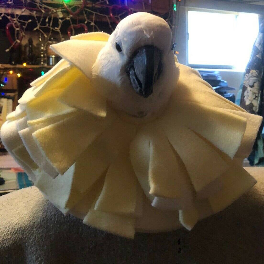 Soft Bird Collar for Umbrella Cockatoo & Yellow-crested - Etsy