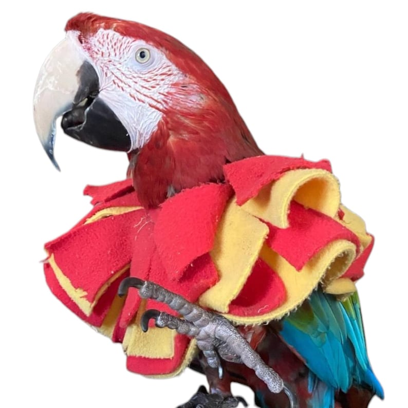 Soft Bird Collar for Macaw Parrots - Plucking and Picking - Hook and ...