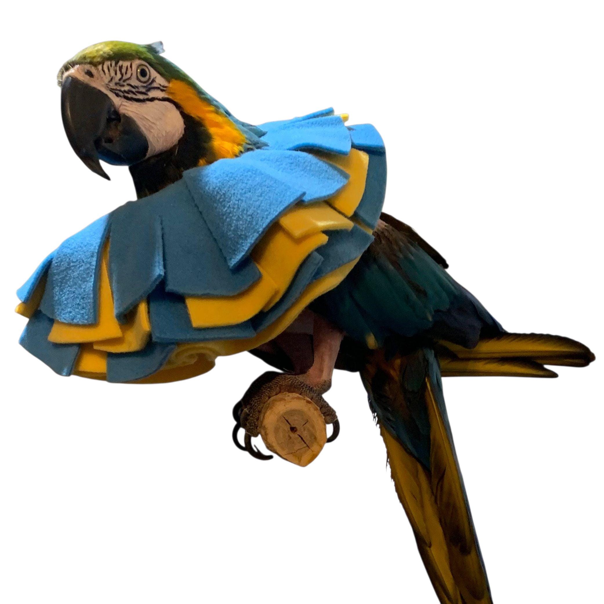 Soft Bird Collar for Macaw Parrots - Plucking and Picking - Hook and ...