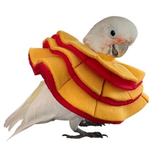 Soft Bird Collar for Goffin Cockatoo or Tanimbar Corella - Etsy