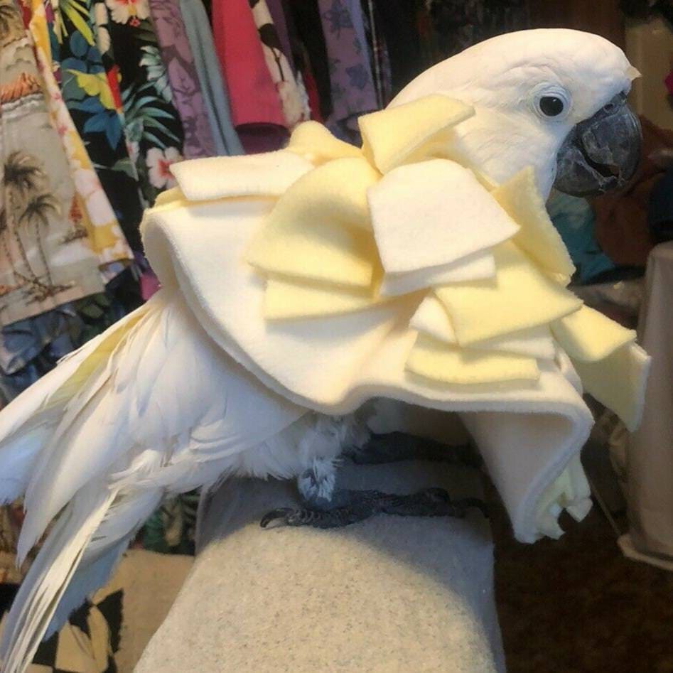 Soft Bird Collar for Umbrella Cockatoo & Yellow-crested - Etsy