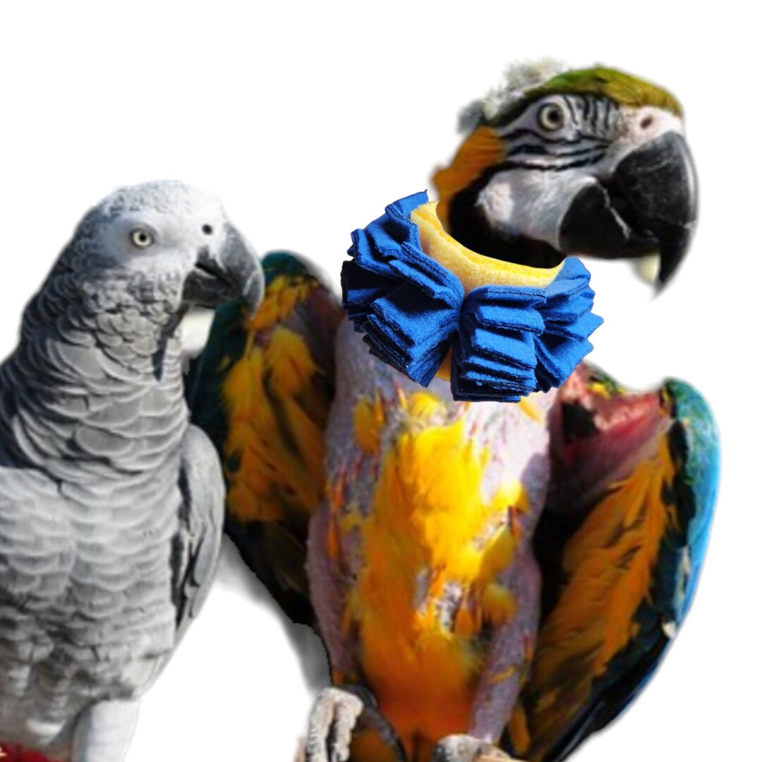 Soft Bird Fringe Neck Collar for Macaw Parrots - Etsy