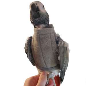 Vest E-collar Jacket for African Grey Parrots That Pluck & Pick ...