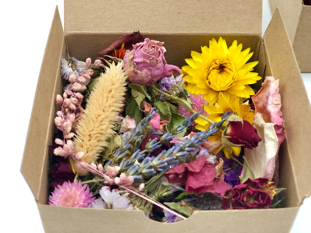 Dried Flower Colorful Craft Box Mixed Dried Flowers Confetti - Etsy