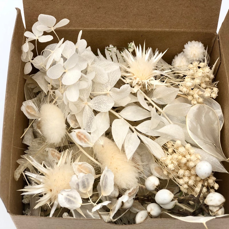 Natural Dried Flower - Etsy