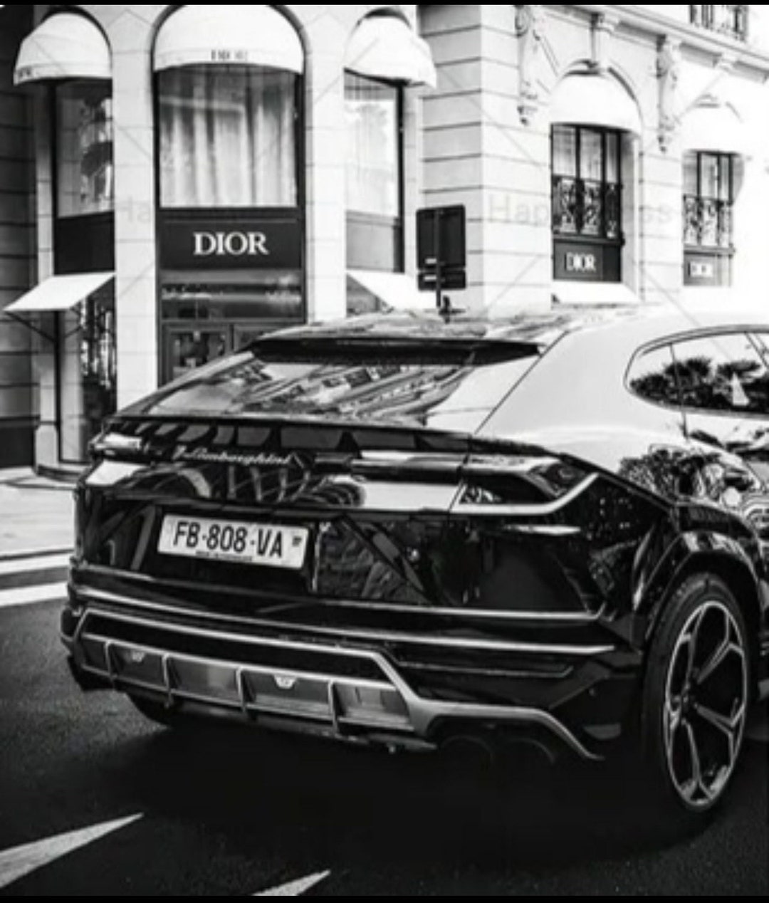 Uras Fashion Sexy Women Wall Art Poster Leopard Dog Art Print Luxury ...