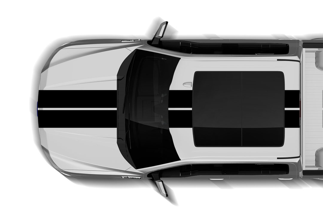 Twin Full Body Stripes Graphic Decal Sticker Compatible With Ford F150 ...