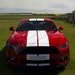Full Body Stripes Decal Compatible With Ford Mustang Hood Wrap Decal ...