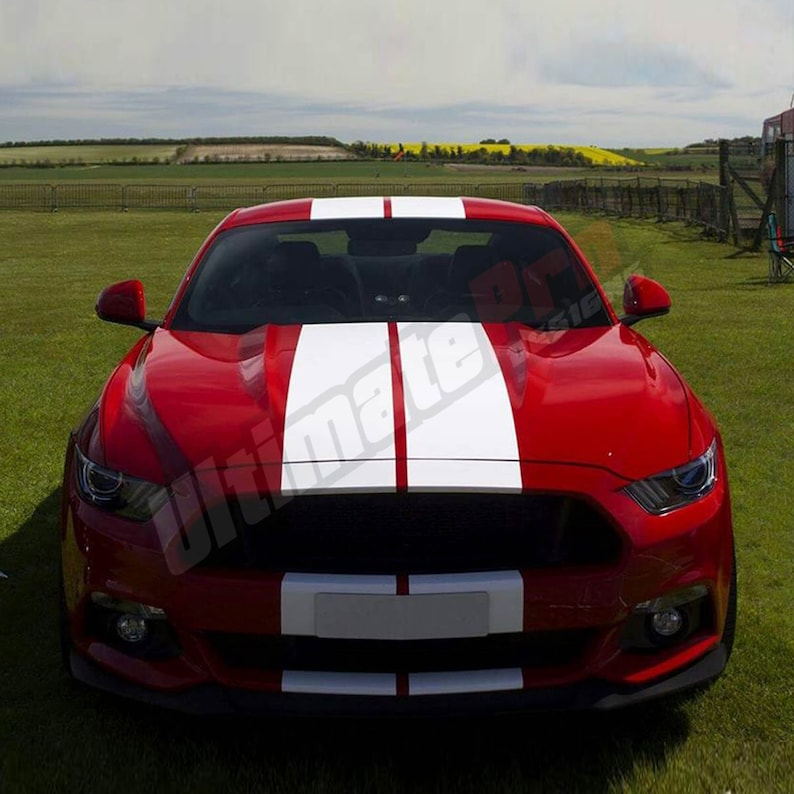 Full Body Stripes Decal Compatible With Ford Mustang Hood Wrap | Etsy