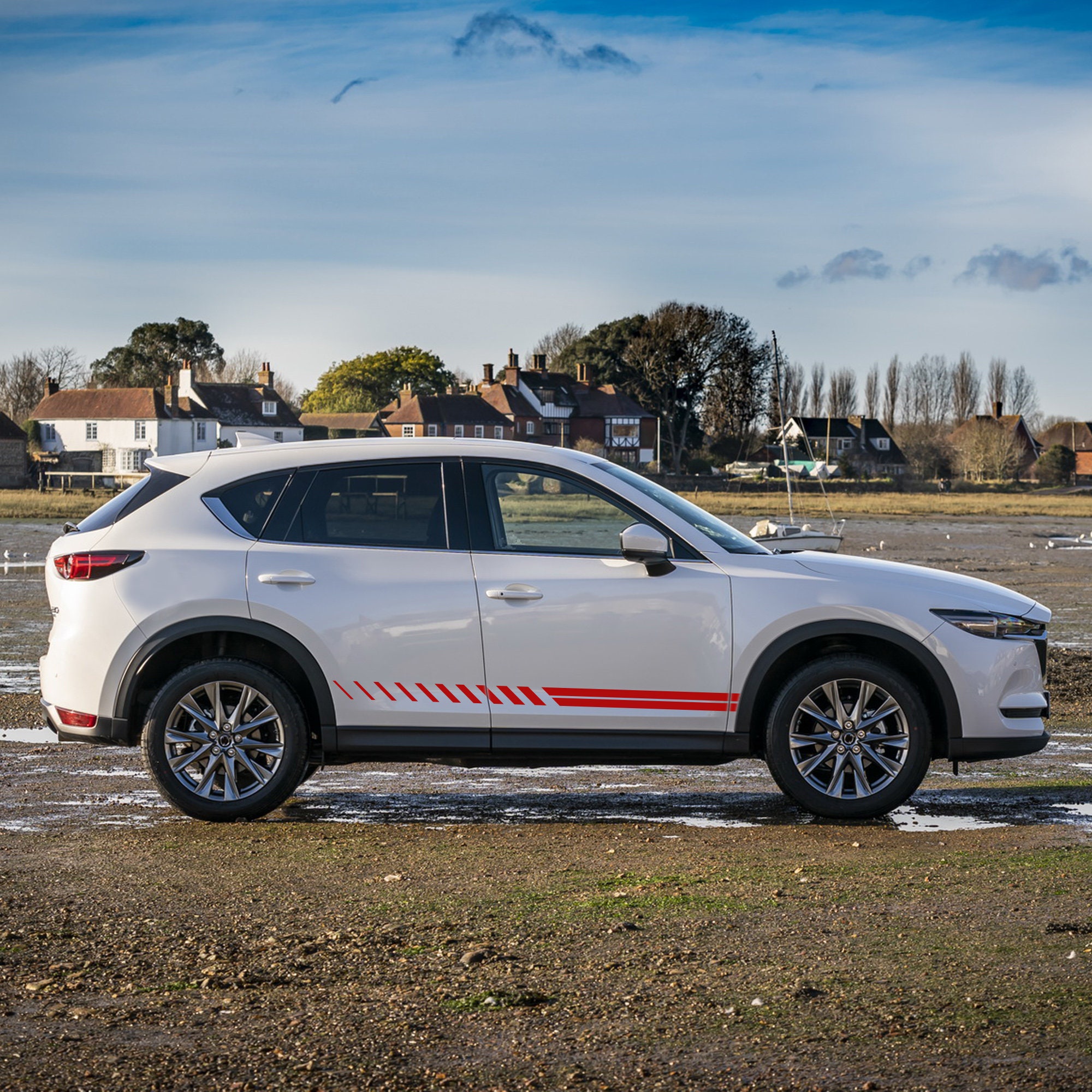 Double Door Stripes Graphics Decals Stickers Vinyl Compatible - Etsy