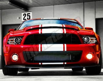 Set of Full Body Stripes Decal Compatible With Ford Mustang Hood Wrap ...