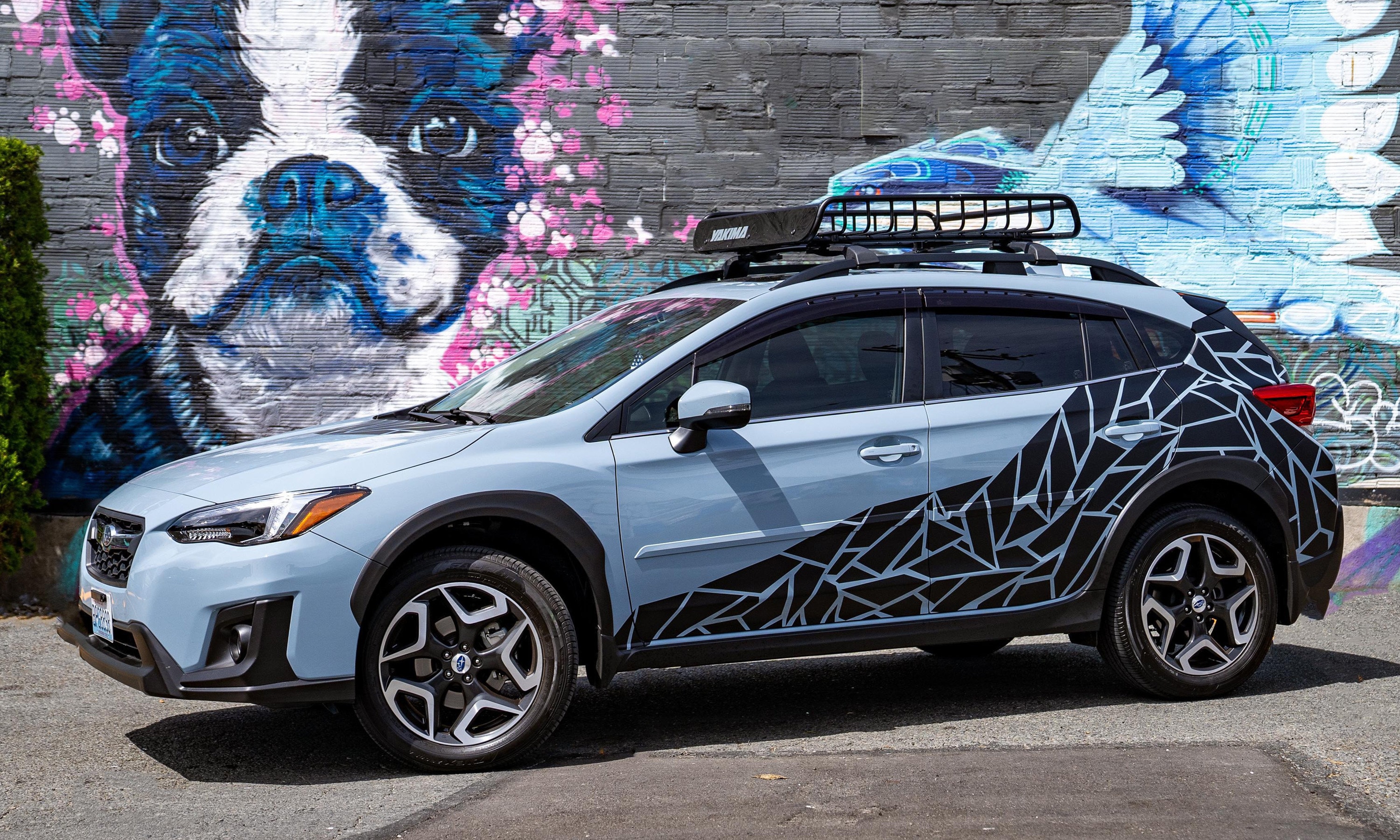 2x Pattern Decal Compatible With Subaru Crosstrek Door Wrap - Etsy